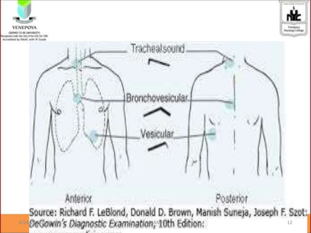 Health Assessment -Anterior chest , heart , abdomen examination.ppt