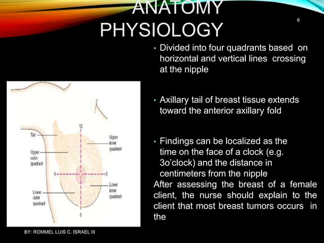 HEALTH ASSESSMENT-BREAST AND AXILLA.pptx | Medical Tests | Medical Health