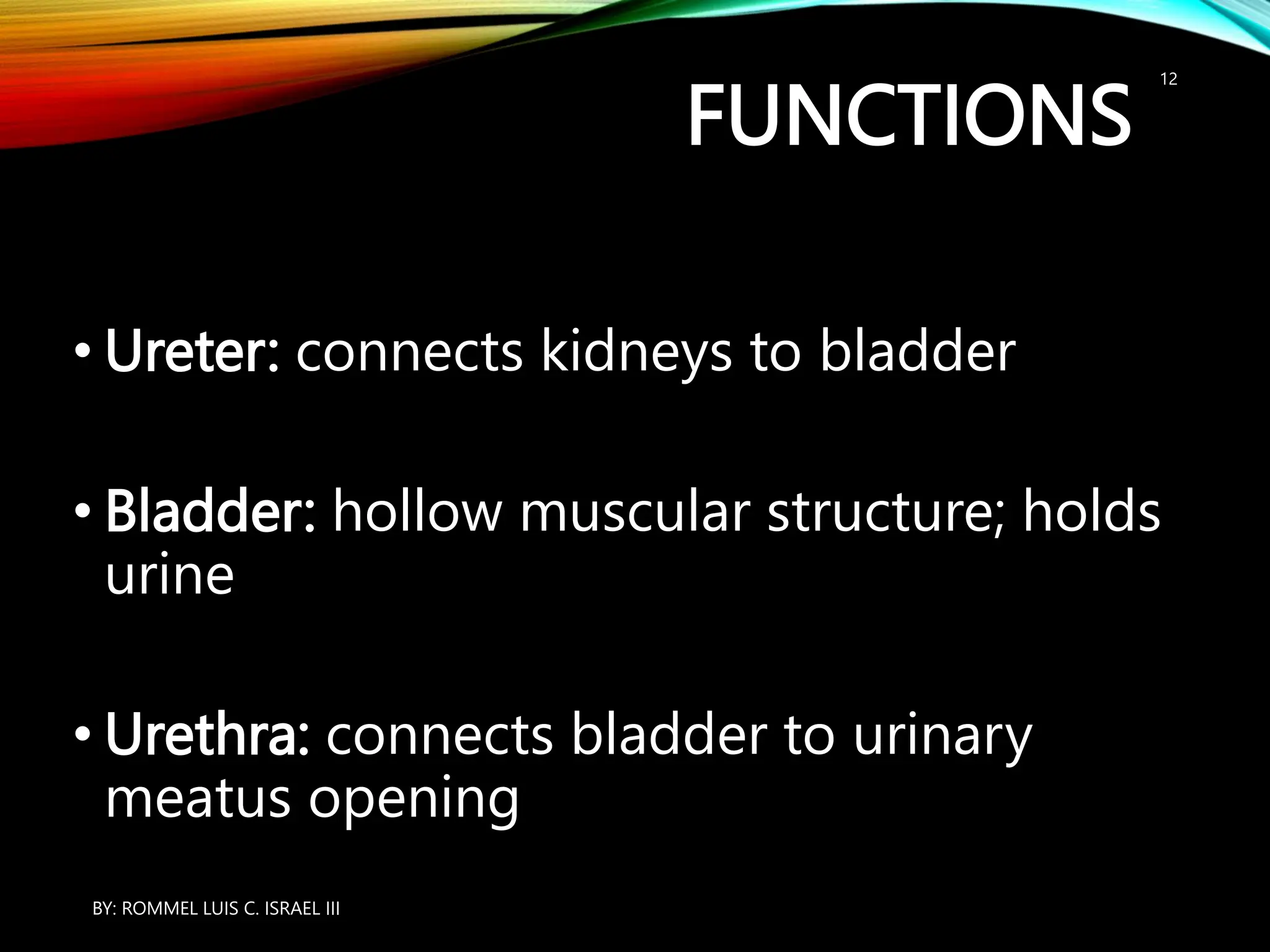 HEALTH ASSESSMENT- FEMALE & MALE GENITO-URINARY SYSTEM | PPT
