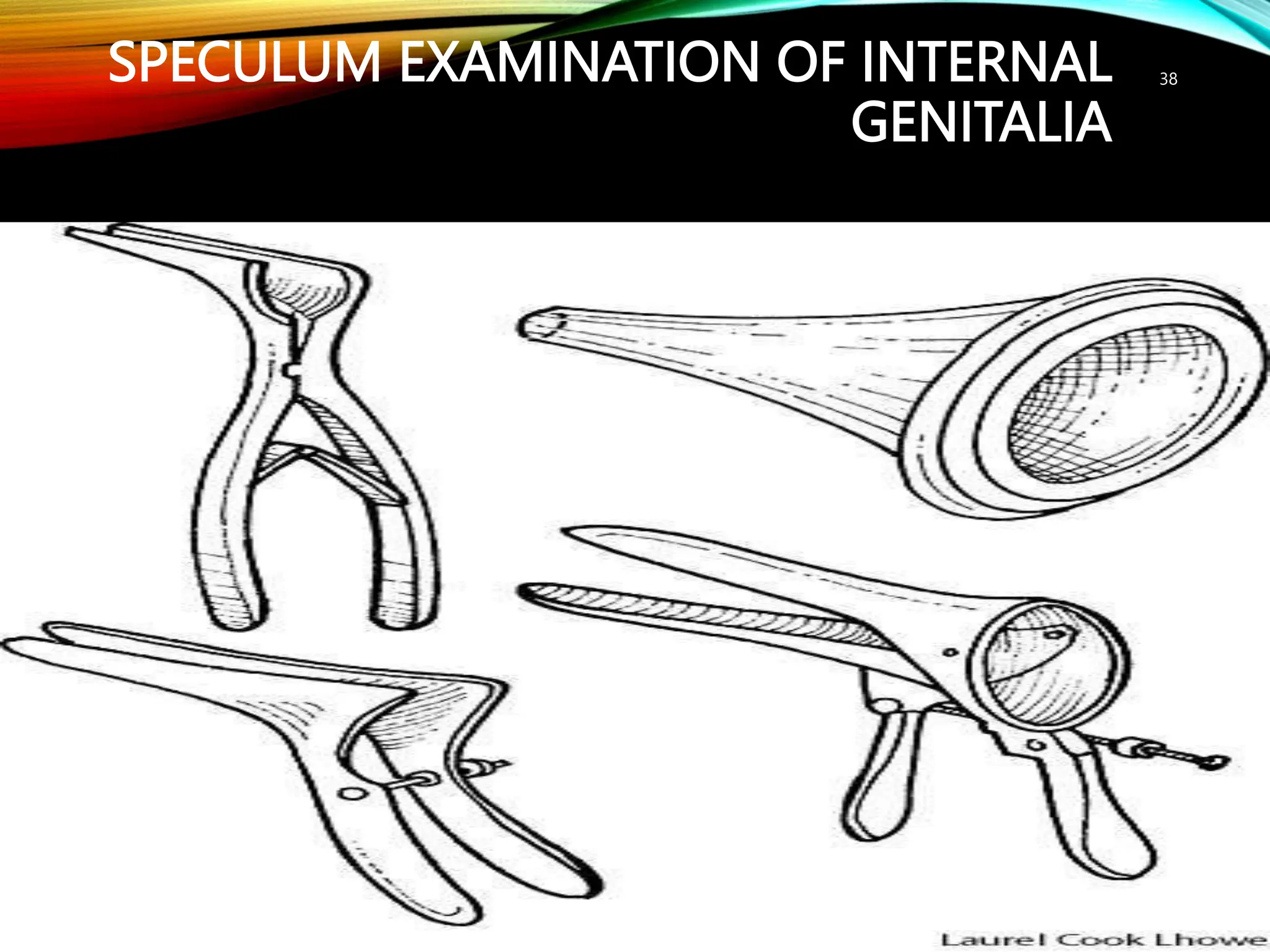 HEALTH ASSESSMENT- FEMALE & MALE GENITO-URINARY SYSTEM | PPT