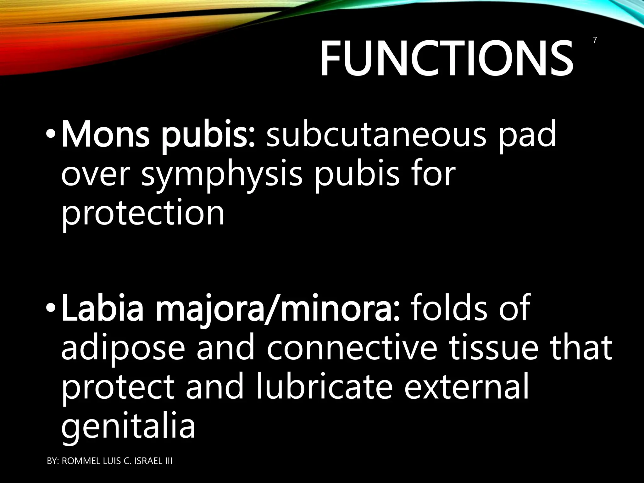 HEALTH ASSESSMENT- FEMALE & MALE GENITO-URINARY SYSTEM | PPT