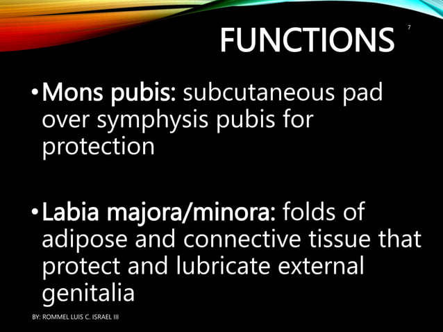 HEALTH ASSESSMENT- FEMALE & MALE GENITO-URINARY SYSTEM | PPT