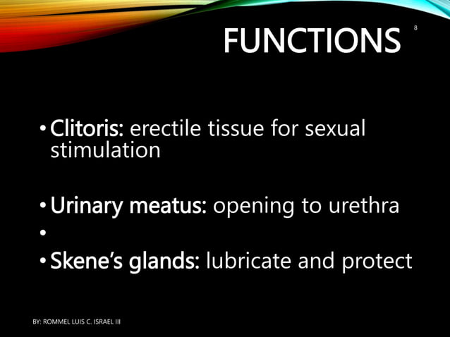 HEALTH ASSESSMENT- FEMALE & MALE GENITO-URINARY SYSTEM | PPT