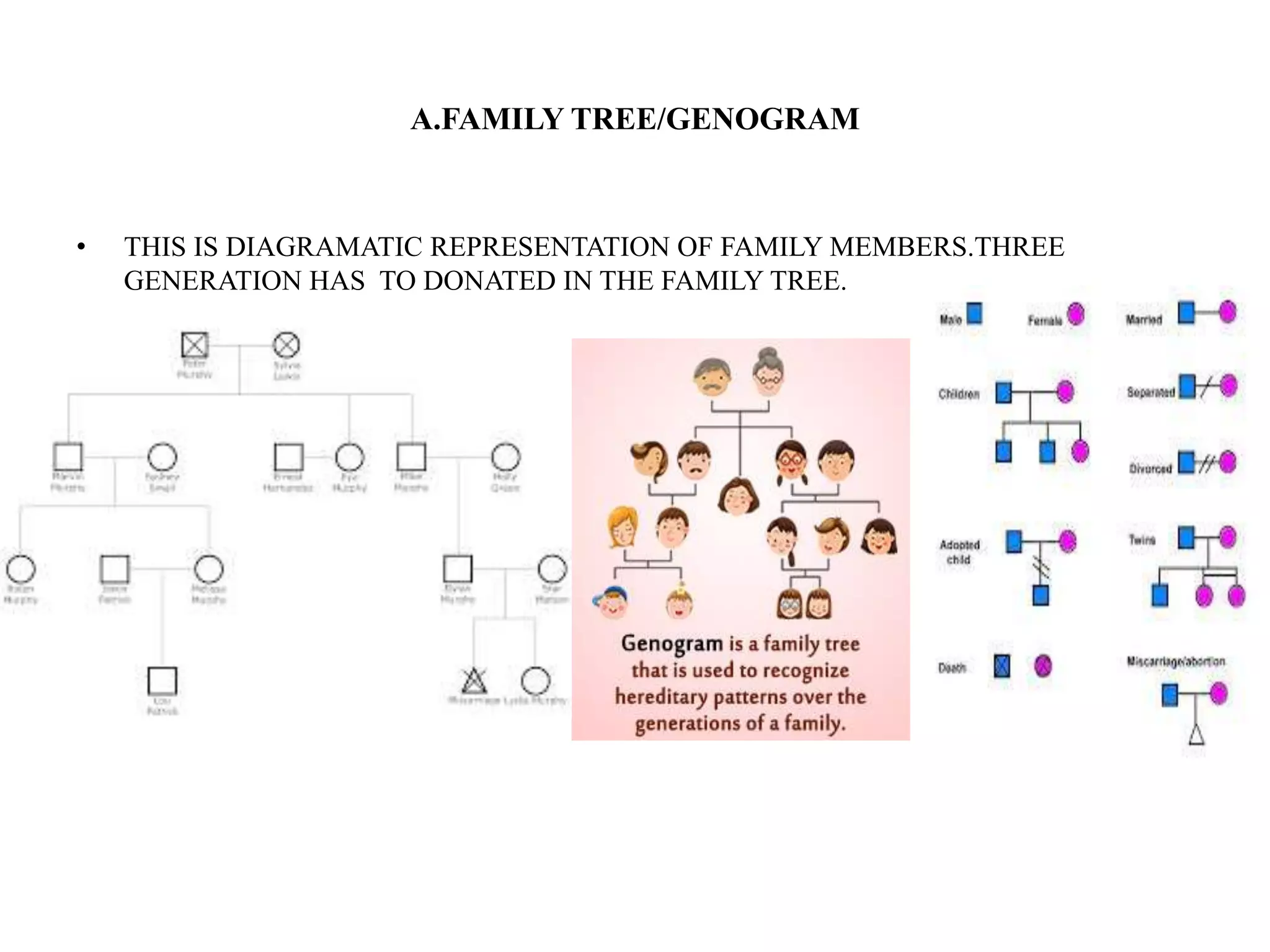 Health Assessment ... | PPTX