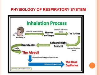 Respiratory System Flow Chart For Kids
