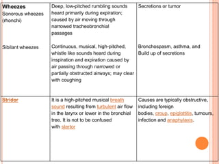 Health assessment and diagnostic assessment of respiratory system | PPT