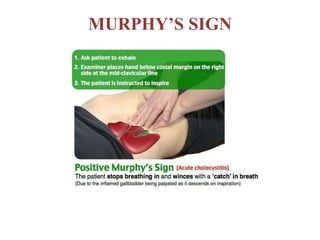 HEALTH ASSESSMENT INAL for NURSING STUDENTS.pptx