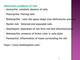 Health Assessment Of Nails Hair And Skin | PPT | Skin and Dermatology ...
