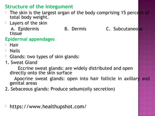 Health Assessment Of Nails Hair And Skin | PPT