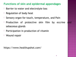 Health Assessment Of Nails Hair And Skin | PPT | Skin and Dermatology ...