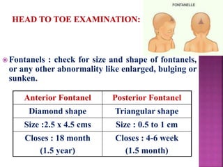 Newborn Assessment | PPT