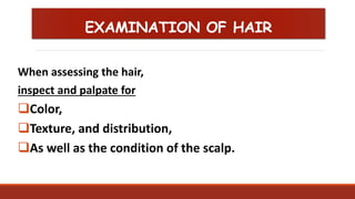 Health assessment on examination of hair | PPTX