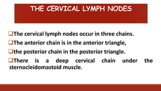 Health assessment on examination of the cervical lymph nodes | PPTX