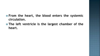 Health assessment on the cardiovascular system examination | PPTX