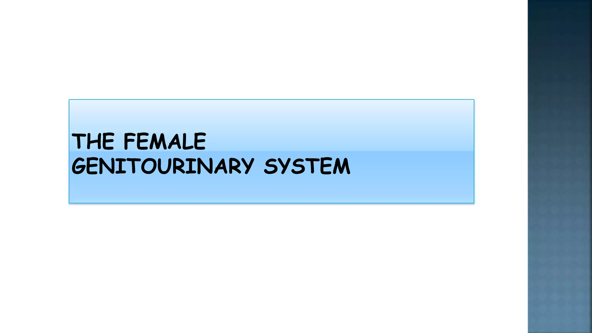 Health assessment on the genitourinary system both male and female examination | PPTX