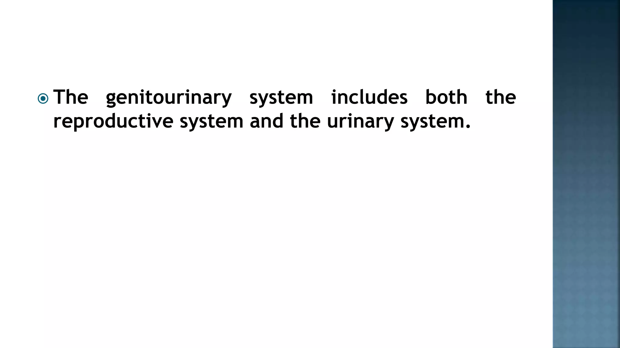 Health assessment on the genitourinary system both male and female ...