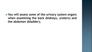 Health assessment on the genitourinary system both male and female ...