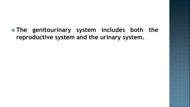 Health assessment on the genitourinary system both male and female ...