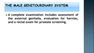 Health assessment on the genitourinary system both male and female ...