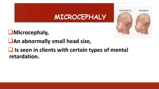 Health assessment on the head examination | PPTX