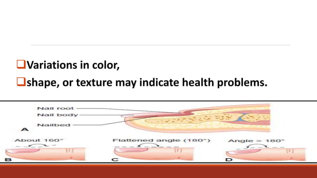 Health assessment on the nail examination | PPTX | Nail Care | Beauty