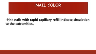 Health assessment on the nail examination | PPT