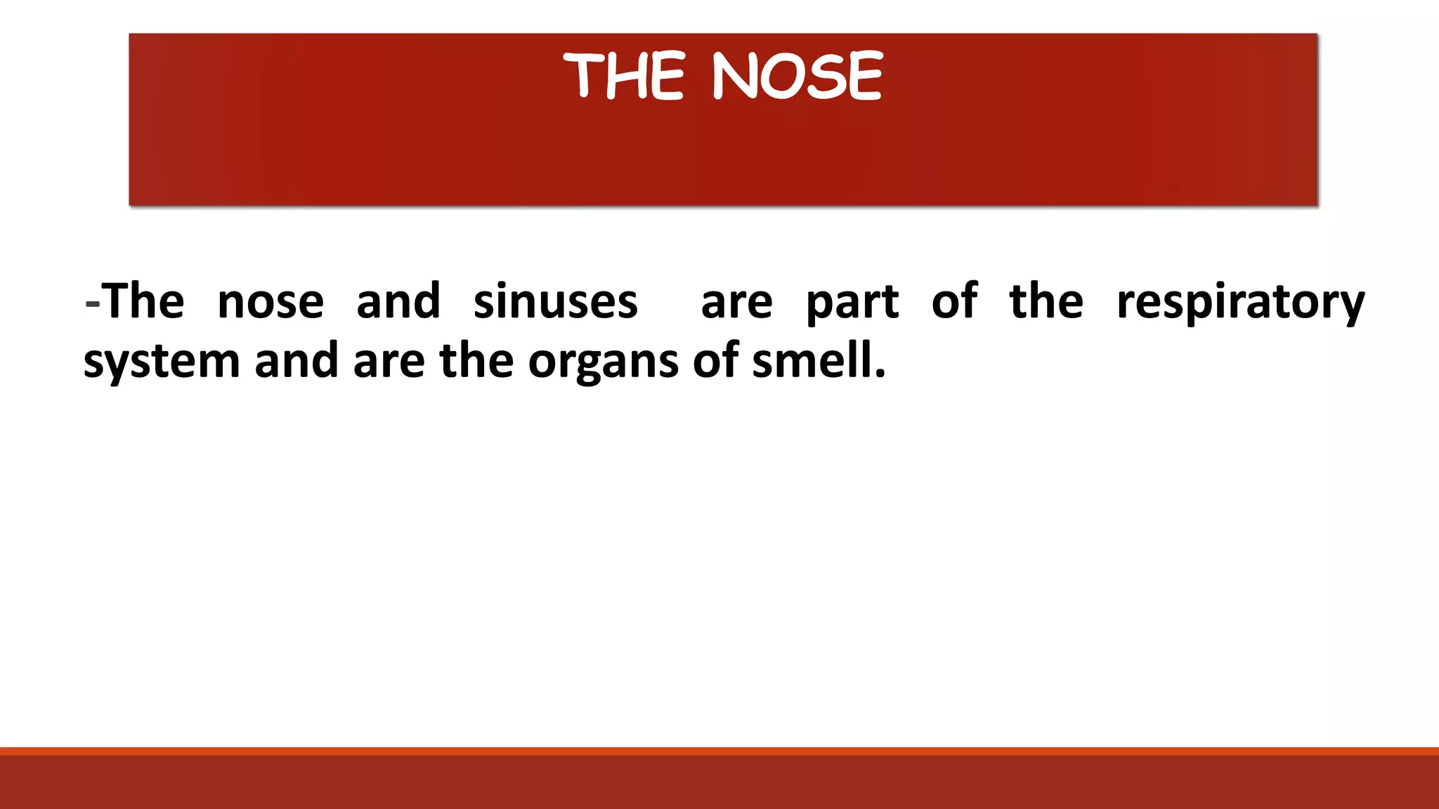 Health assessment on the nasal examination | PPT