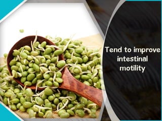 The 18 Incredible Health Benefits of Bean Sprouts | ODP