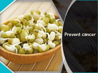 The 18 Incredible Health Benefits of Bean Sprouts | ODP