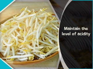 The 18 Incredible Health Benefits of Bean Sprouts | ODP
