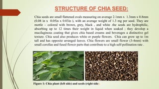 Health benefit of chia seed (ppt ) final | PPTX