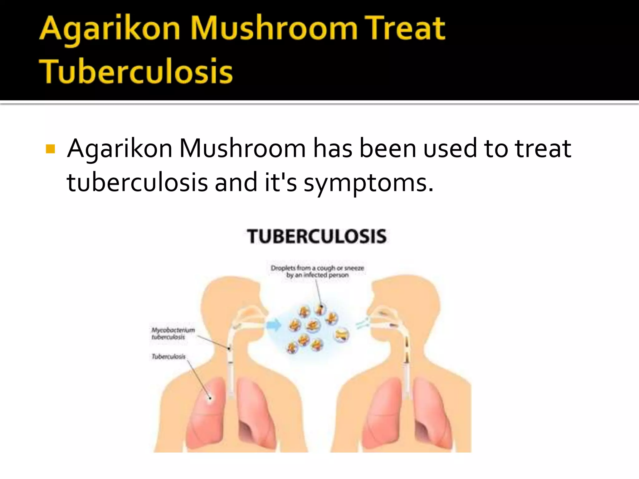 Health benefits of agarikon mushrooms | PPTX