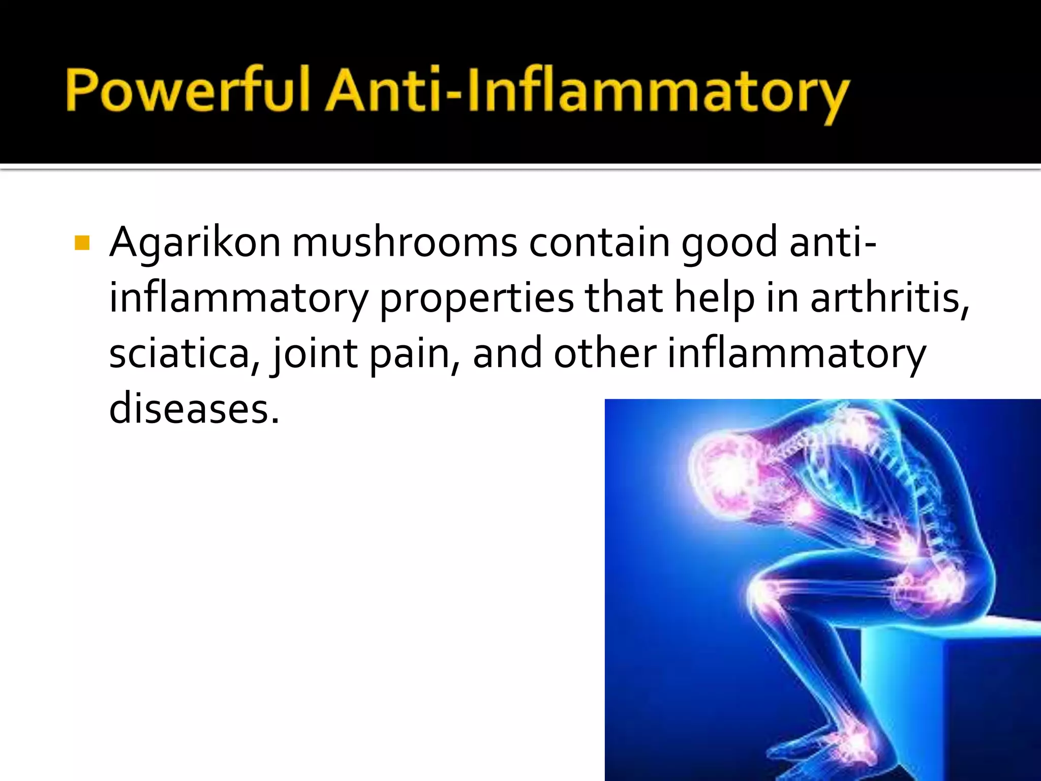 Health benefits of agarikon mushrooms | PPTX