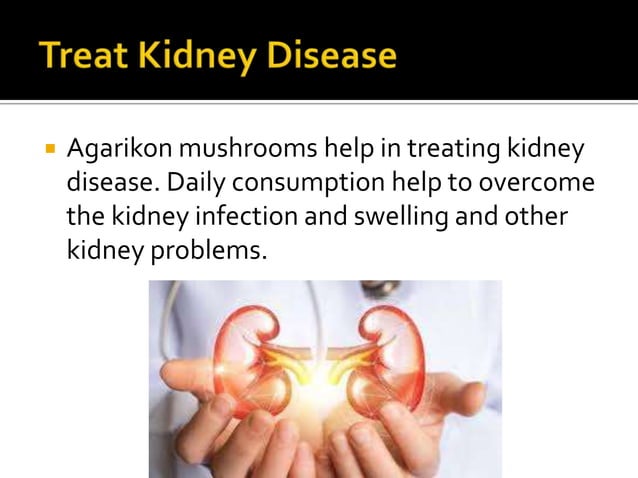 Health benefits of agarikon mushrooms | PPTX
