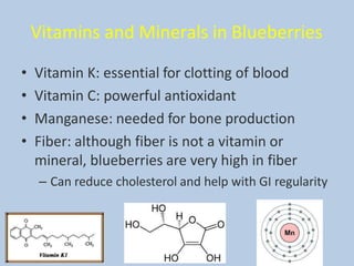 Health benefits of blueberries | PPTX