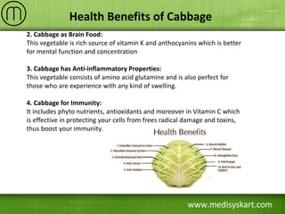 Health Benefits of Cabbage | PPTX