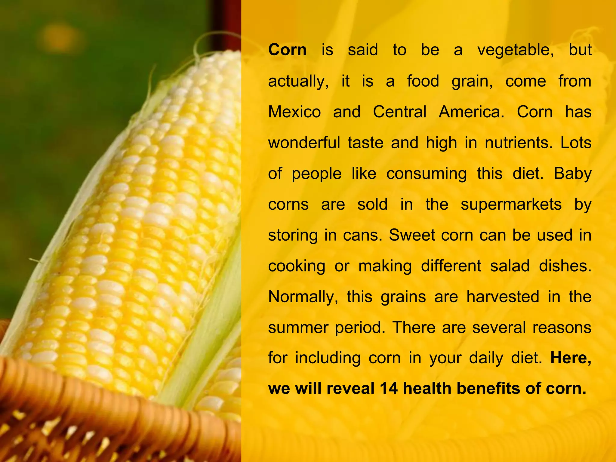 These 14 Health Benefits of Corn can Fight Against Cancer, Diabetes ...