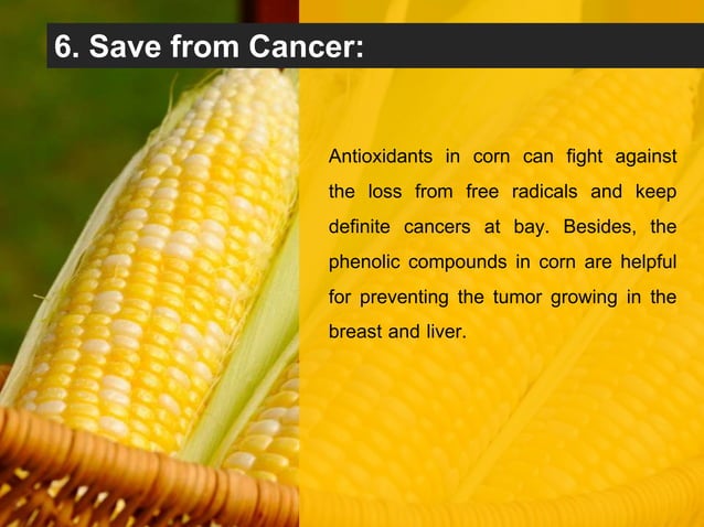 These 14 Health Benefits of Corn can Fight Against Cancer, Diabetes ...