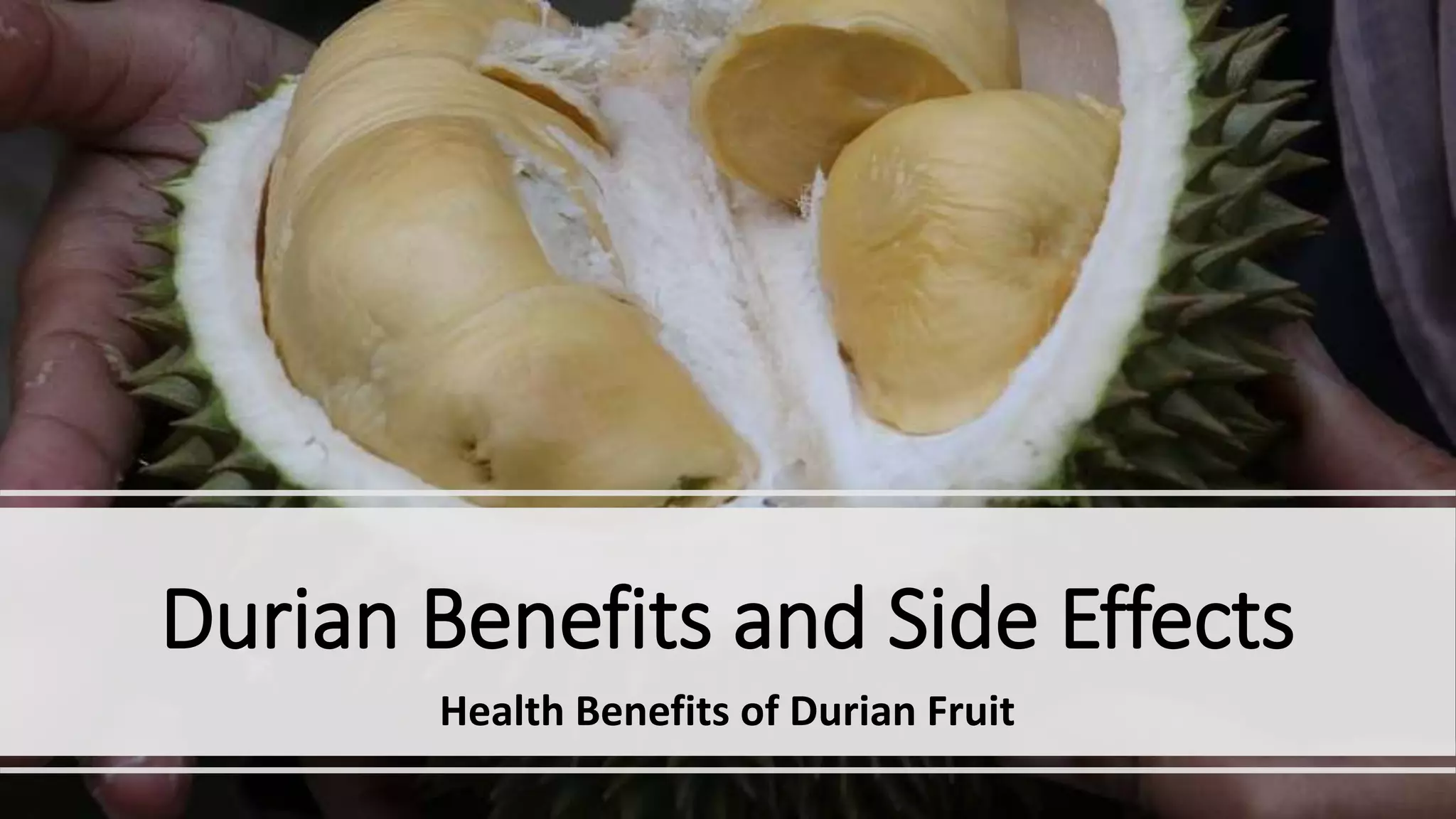 Health Benefits of Durian Fruit - Durian Benefits and Side Effects | PPTX | Pregnancy ...