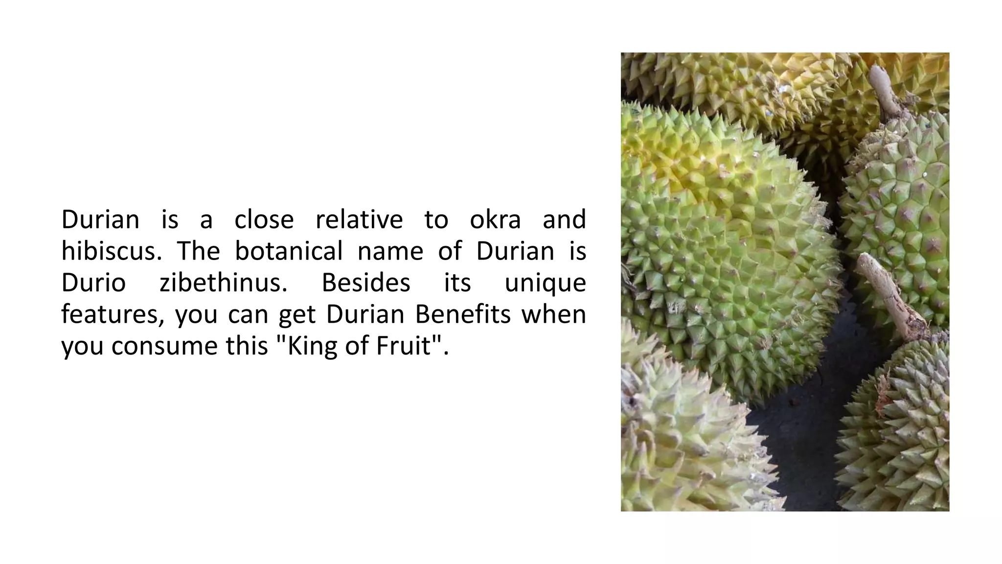 Health Benefits of Durian Fruit - Durian Benefits and Side Effects | PPTX | Pregnancy ...