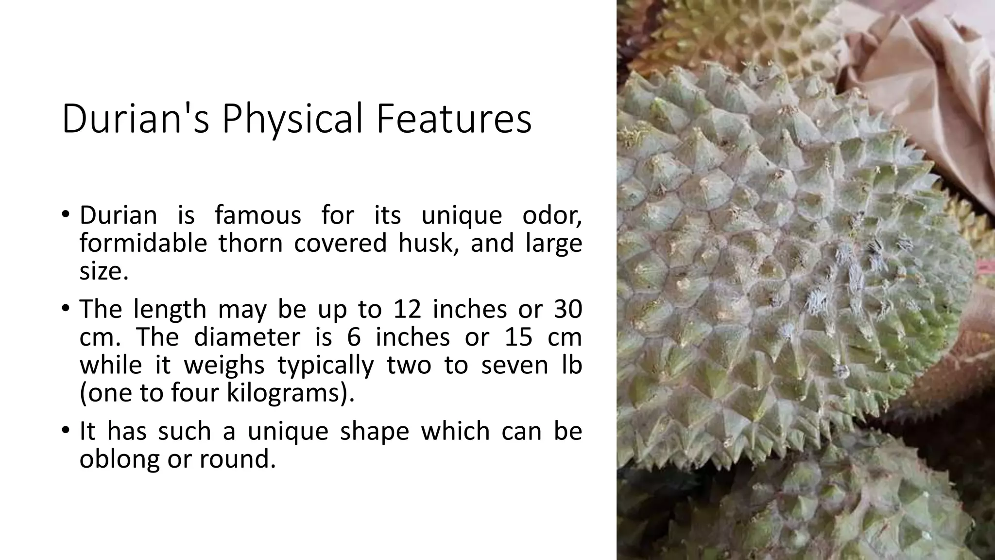 Health Benefits of Durian Fruit - Durian Benefits and Side Effects | PPTX | Pregnancy ...