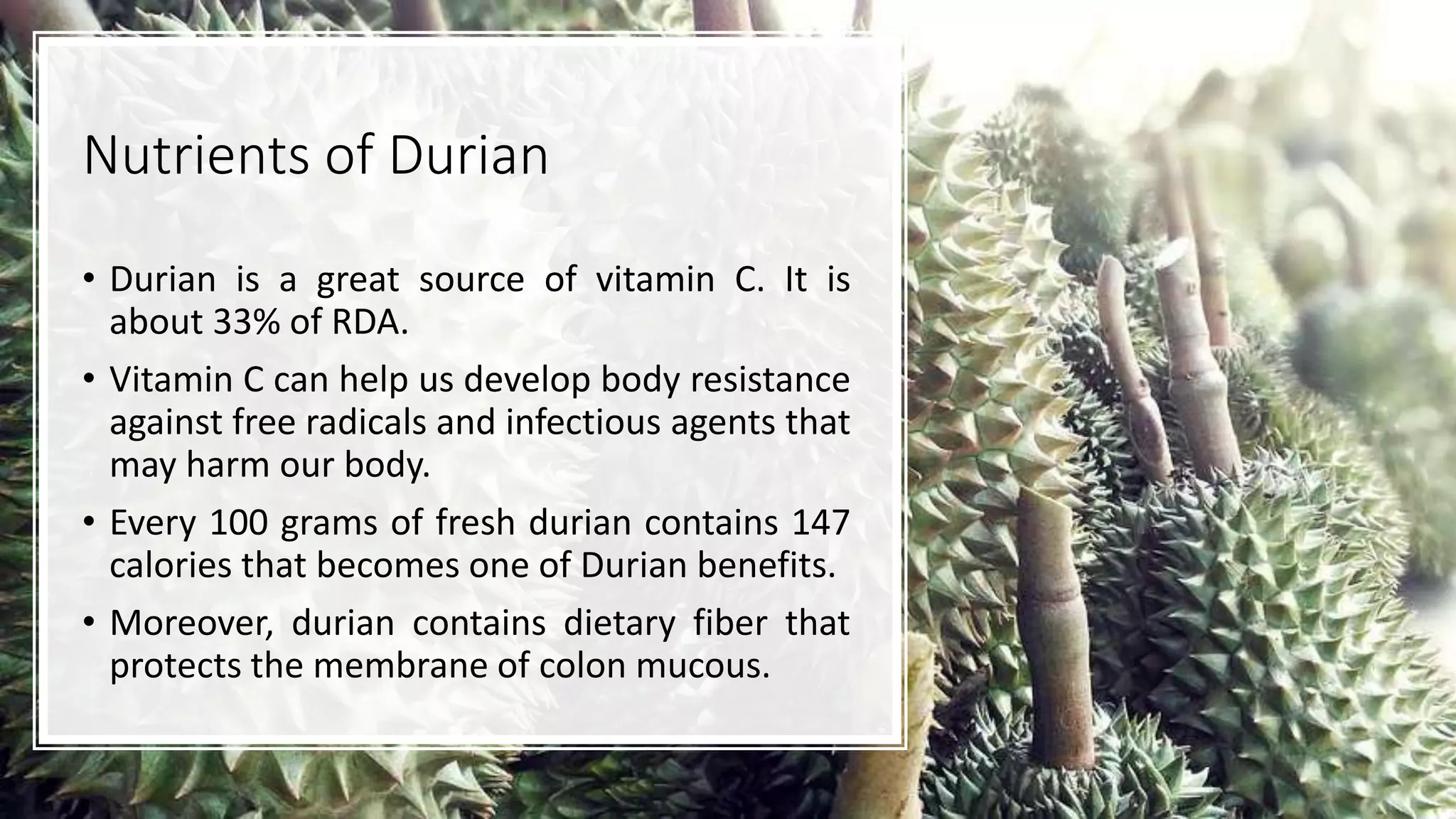 Health Benefits of Durian Fruit - Durian Benefits and Side Effects | PPTX | Pregnancy ...