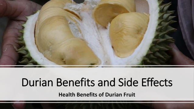 Health Benefits of Durian Fruit - Durian Benefits and Side Effects | PPT