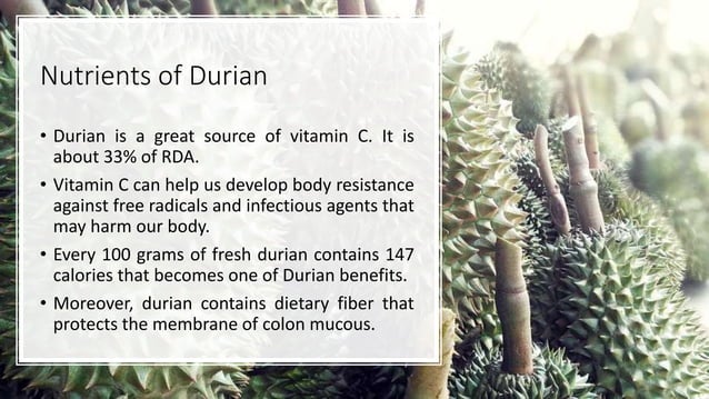 Health Benefits of Durian Fruit - Durian Benefits and Side Effects | PPTX | Pregnancy ...