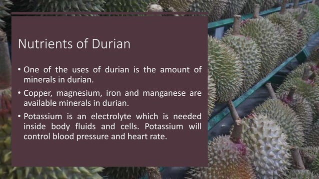 Health Benefits of Durian Fruit - Durian Benefits and Side Effects | PPTX | Pregnancy ...