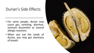 Health Benefits of Durian Fruit - Durian Benefits and Side Effects ...
