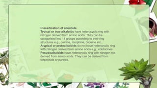 Health benefits of plant alkaloids A Lecture By Mr Allah Dad Khan ...