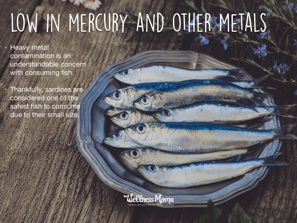 Health Benefits Of Sardines health-benefits-of-sardines