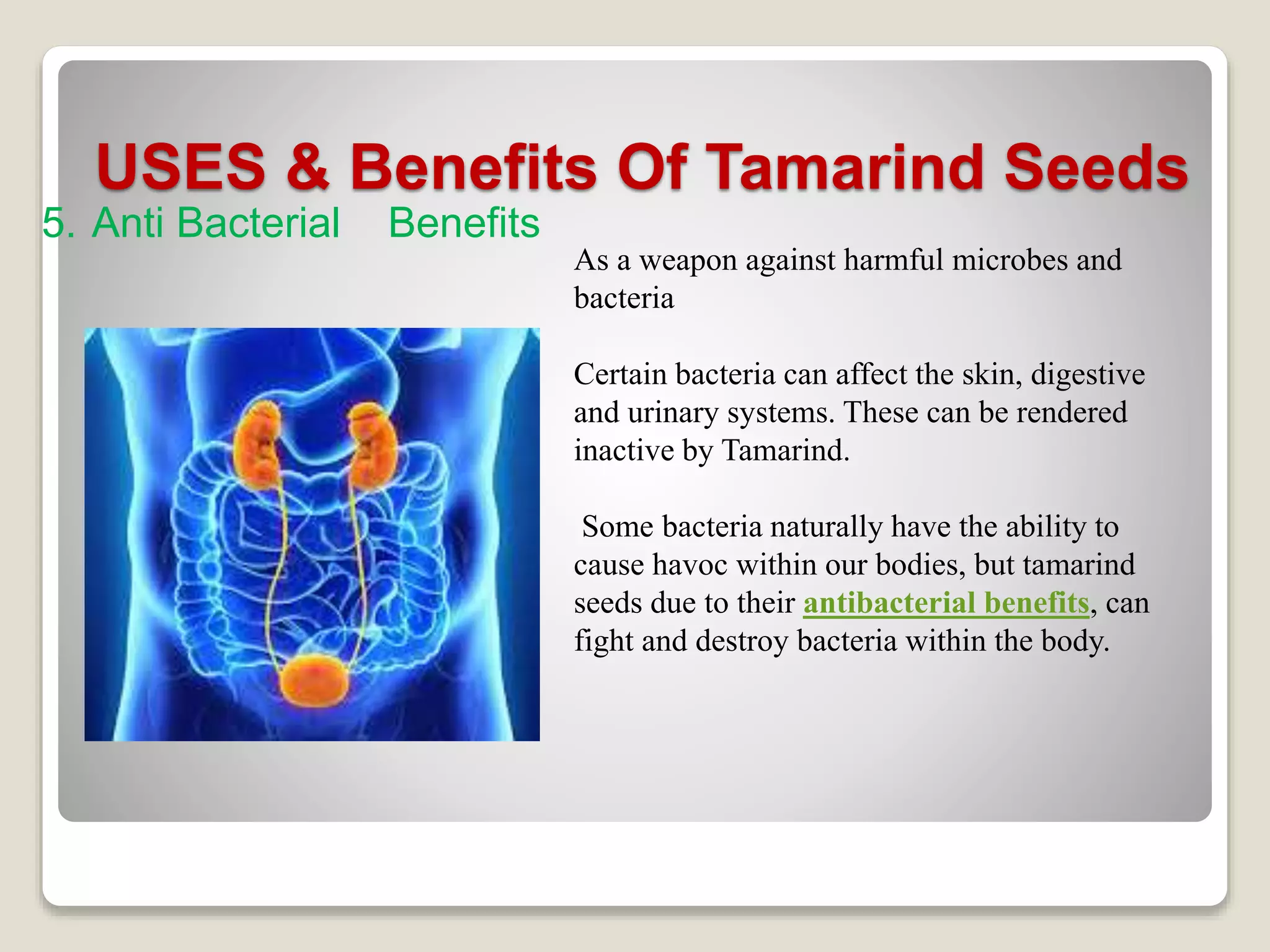 Health benefits of tamarind seeds | PPTX