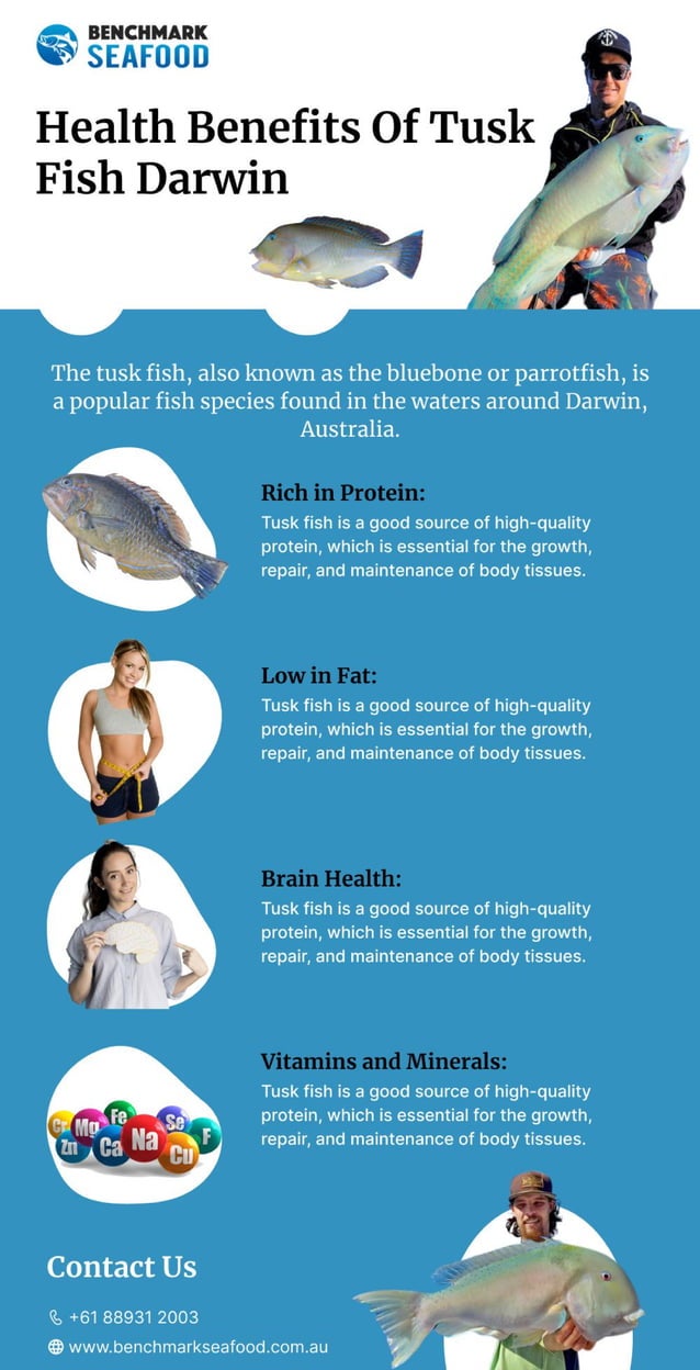 Health Benefits of Tusk Fish | PDF
